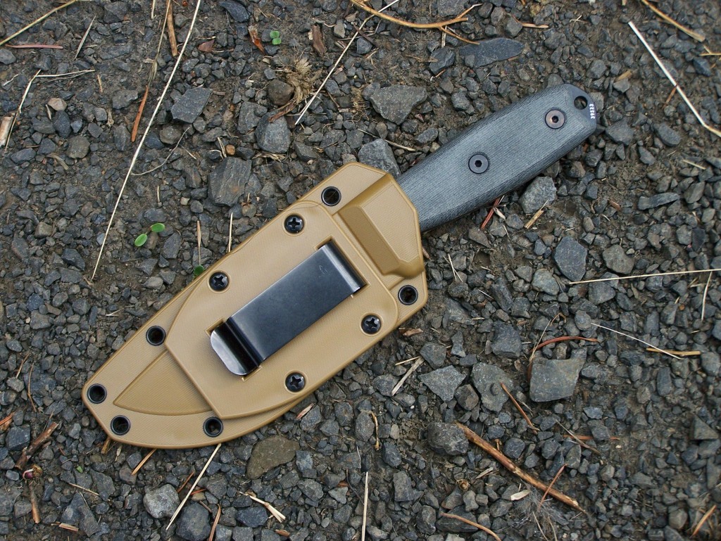 Esee-4, by Pat Cascio - SurvivalBlog.com