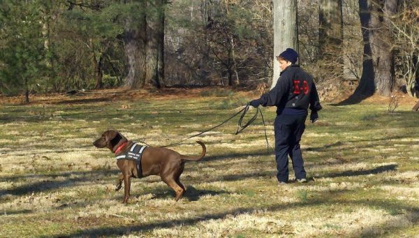k9-tracker - SurvivalBlog.com