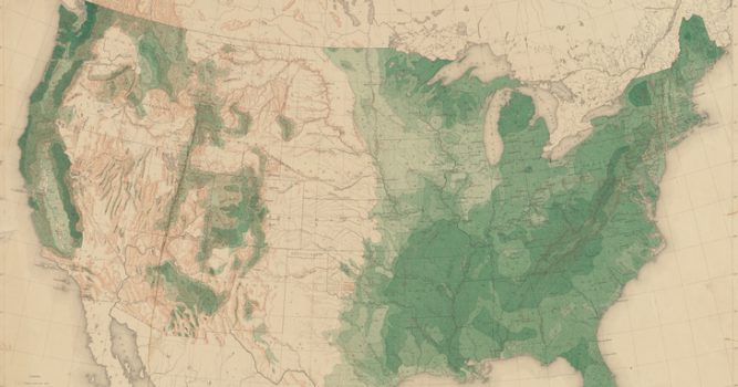 1800s Map of Forests of United Sates Timber Timberland - SurvivalBlog.com