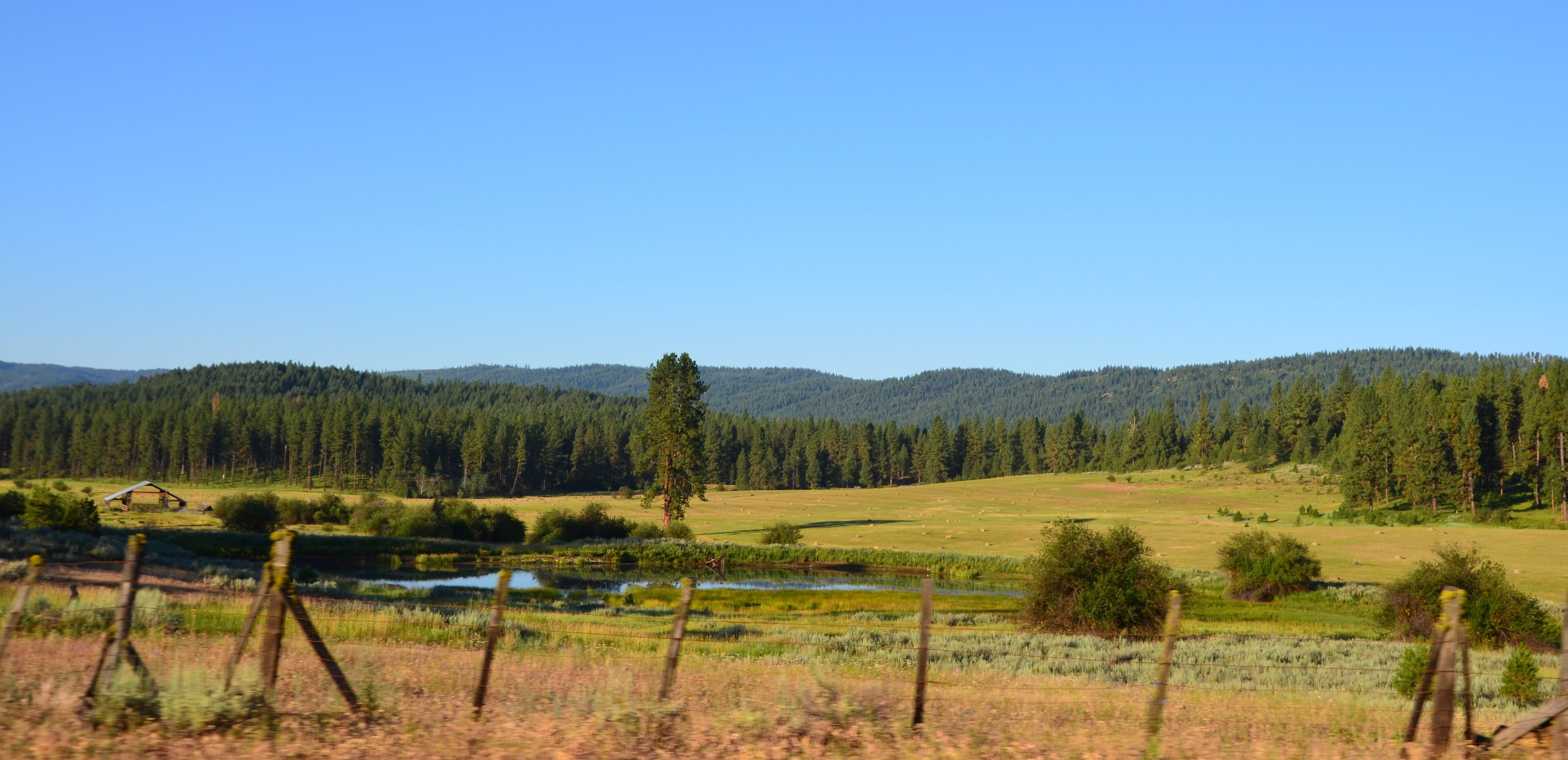 The belated arrival of COVID-19 in the American Redoubt region.