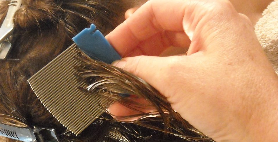 Incorporating Lice Care in a post-disaster scenario