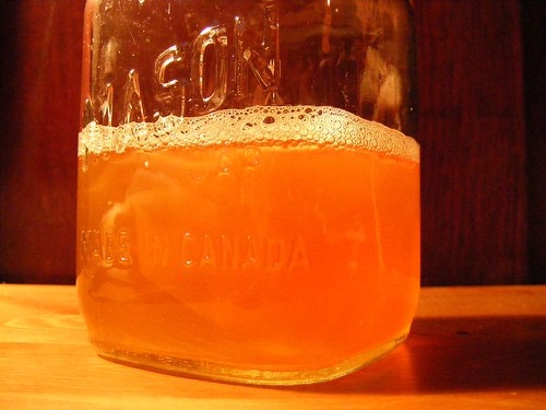Kombucha SCOBY - Brewing My Own Kombucha, by S.C.