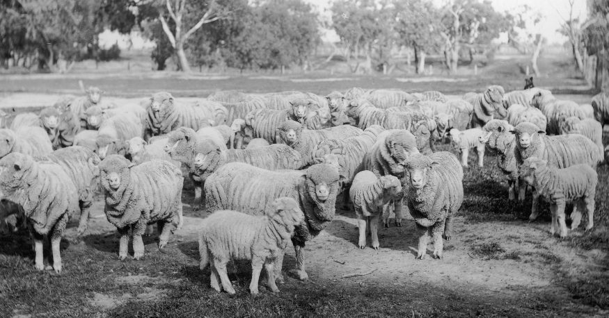 Family Preparedness: Know, set, and maintain your priorities.