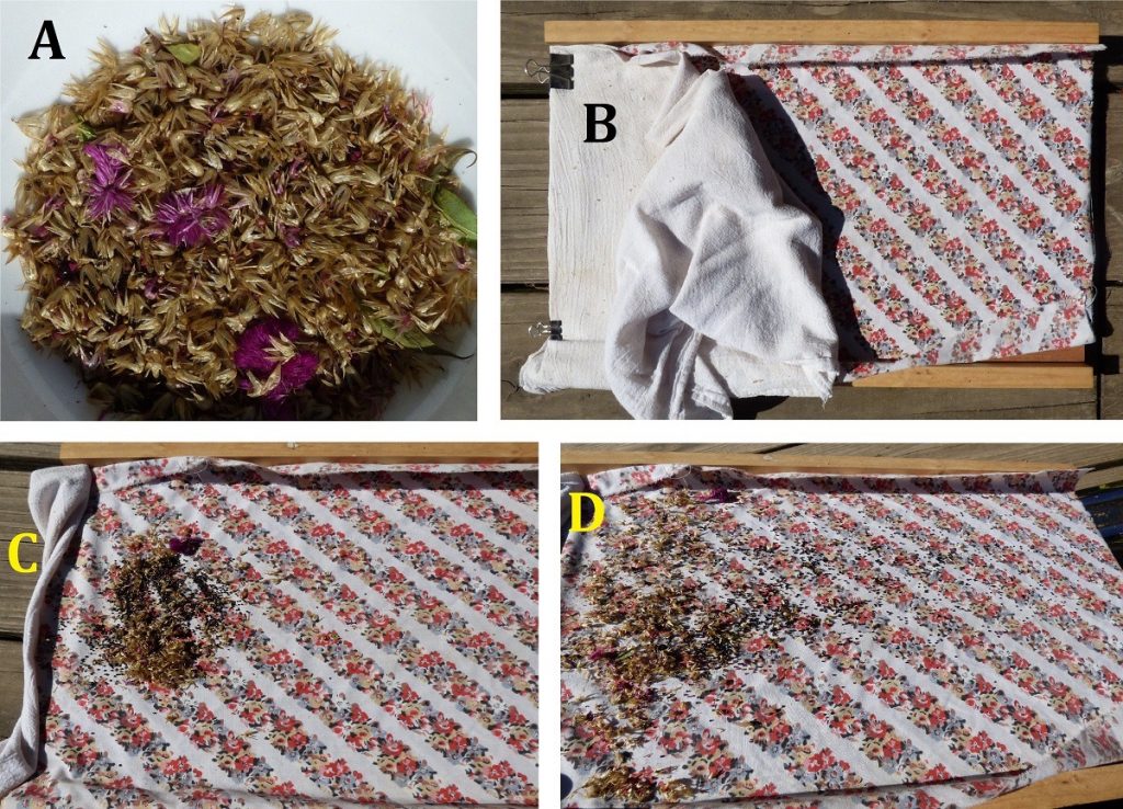 Seed Saving Tips - Part 3, by St. Funogas - Packaging