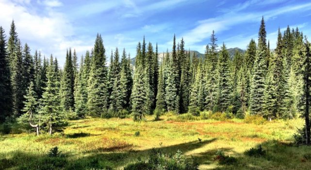 The American Redoubt is a vast and lightly-populated region