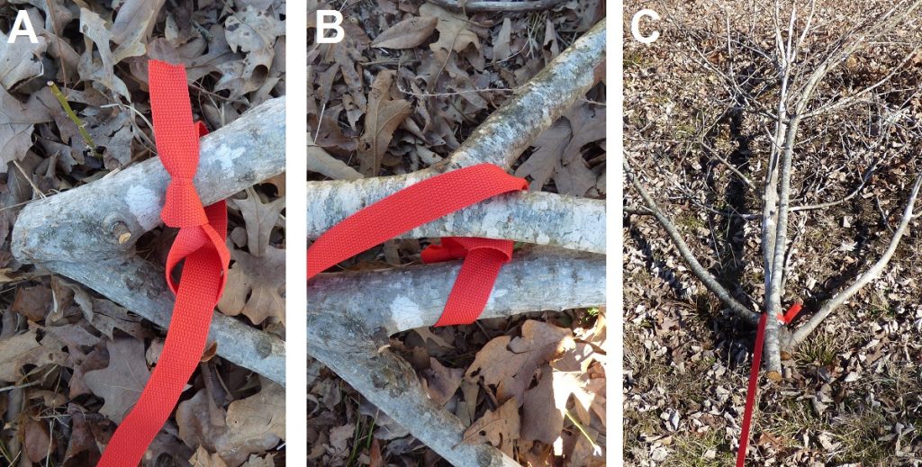 Using 10 Basic Knots. Knots: Must be practiced until it becomes muscle ...