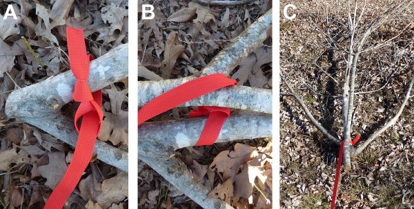 Using 10 Basic Knots. Knots: Must be practiced until it becomes muscle ...