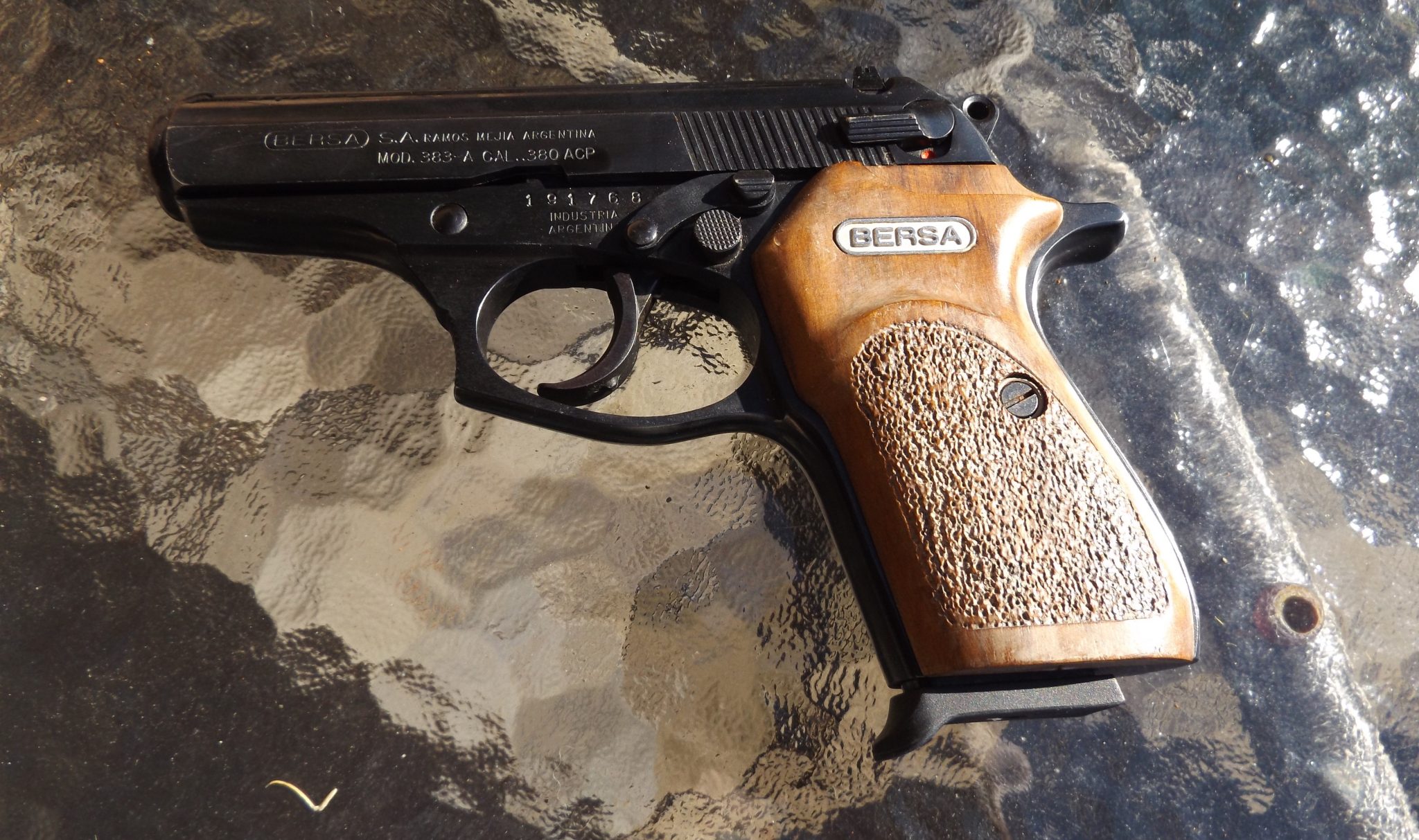 SurvivalBlog Review and Test: Bersa Model 383, by Pat Cascio