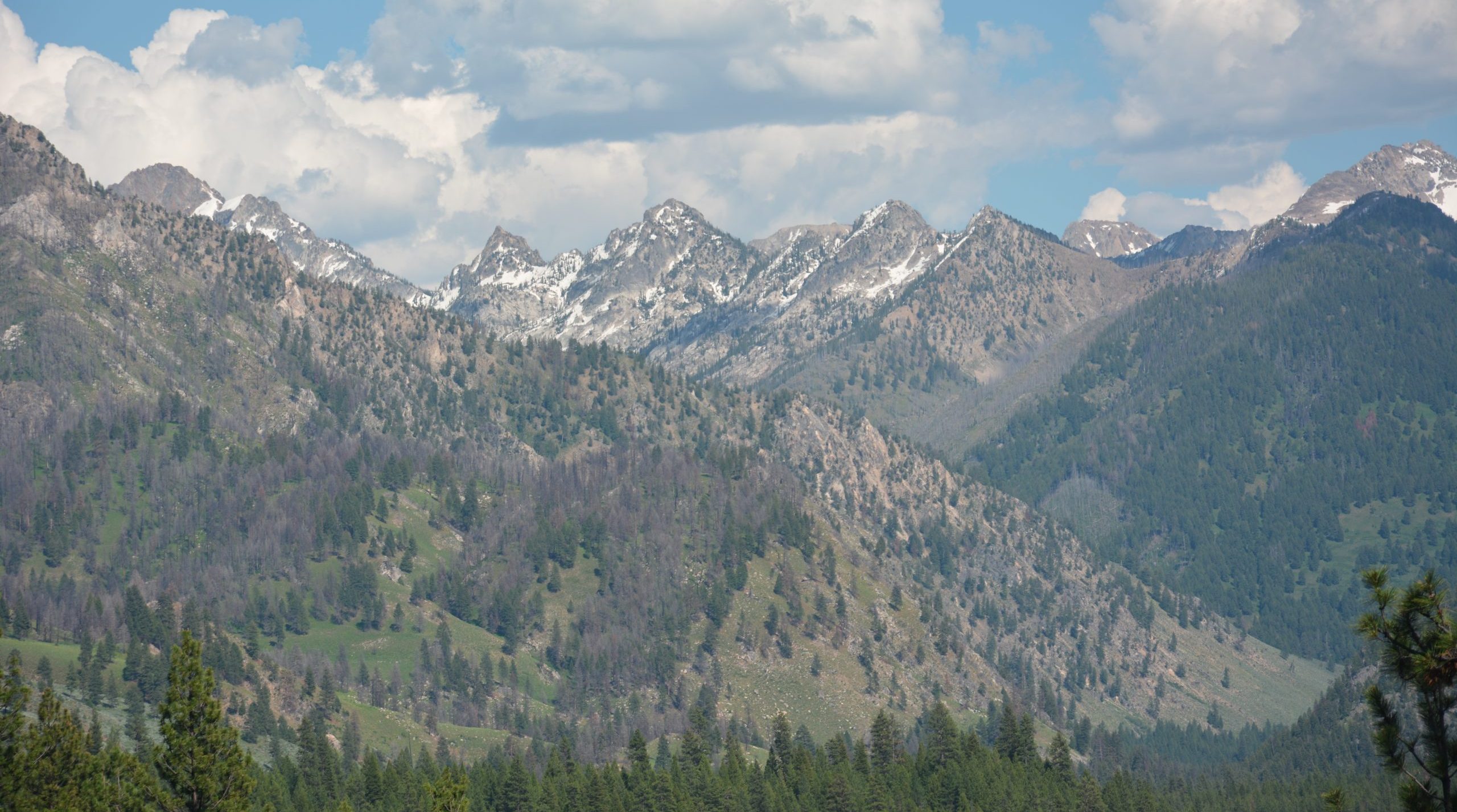 July 3, 1890, the Idaho Territory became the 43rd state