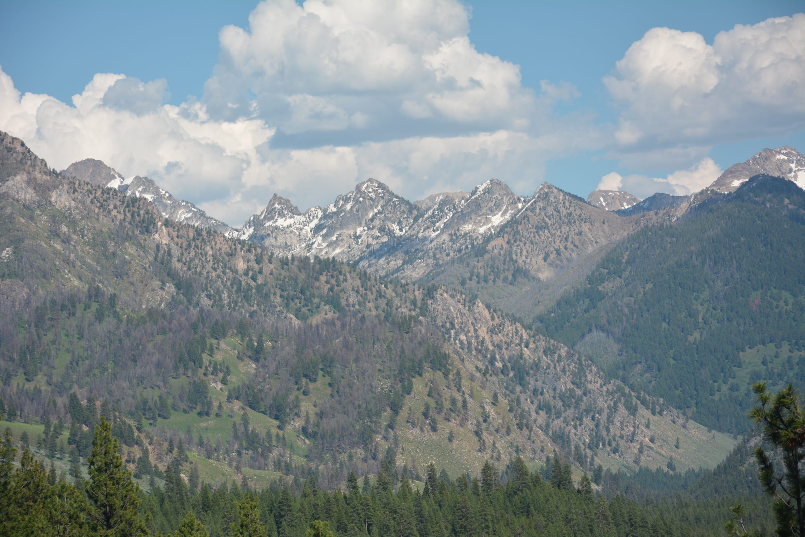 July 3, 1890, the Idaho Territory became the 43rd state