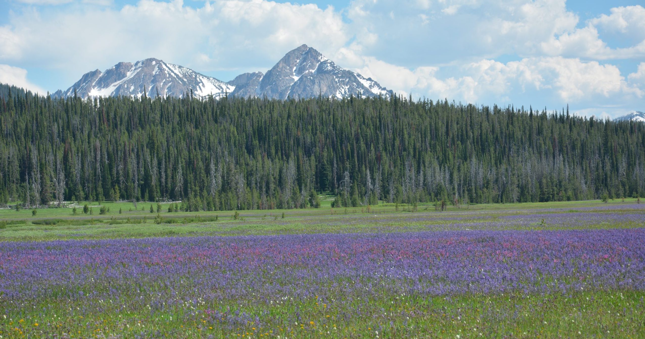 Touring destinations in the American Redoubt region.
