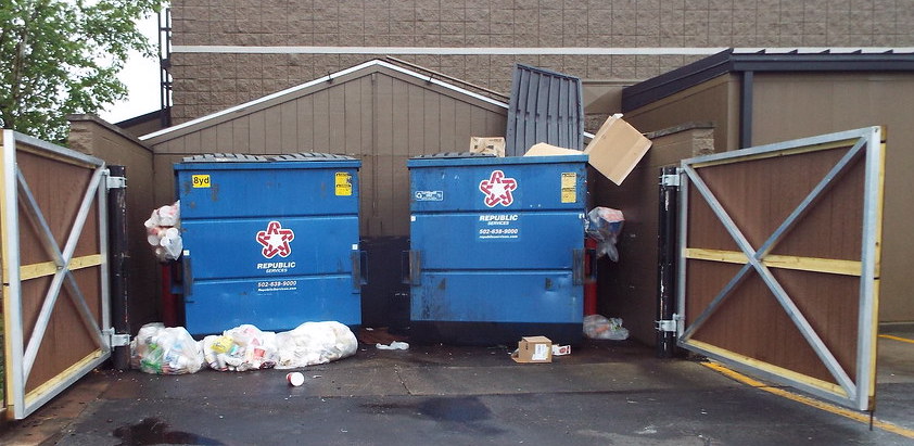 Desperate Dining: Homelessness. Skunk cabbage can be eaten.