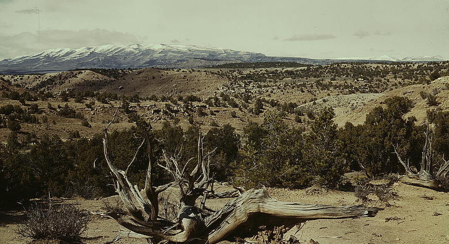 On January 4th, 1896 Utah became the 45th state of the Union.