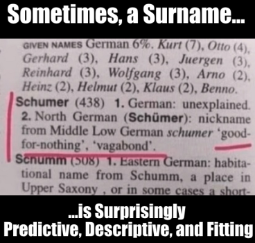 Sometimes a Surname is Surprisingly Predictive, Descriptive, and Fitting