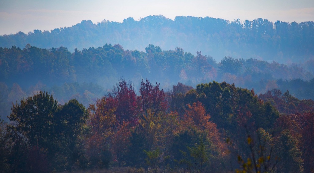 An Arborist Training Position in Louisville, Kentucky.