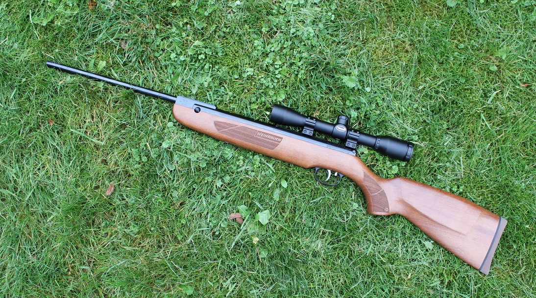 Air Rifles as Survival Tools. Breathing, sight picture, trigger control ...