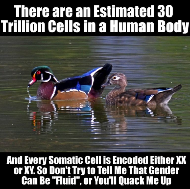 Meme: Every Somatic Cell is Encoded Either XX or XY.
