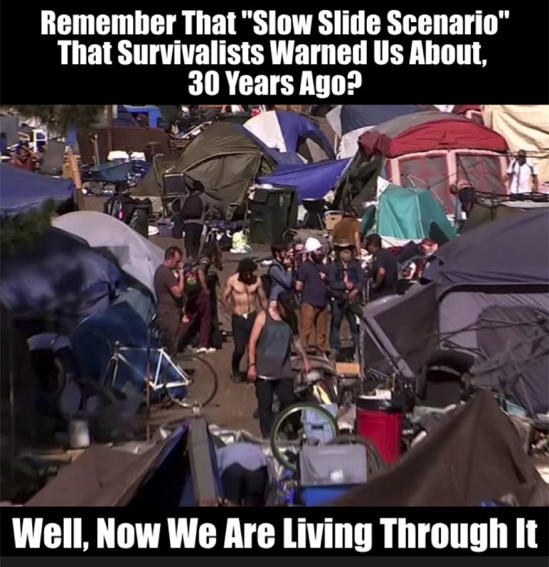That "Slow Slide Scenario" That Survivalists Warned Us About