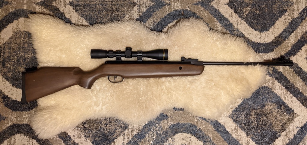 Review: Remington Vantage Pellet Gun, by Thomas Christianson