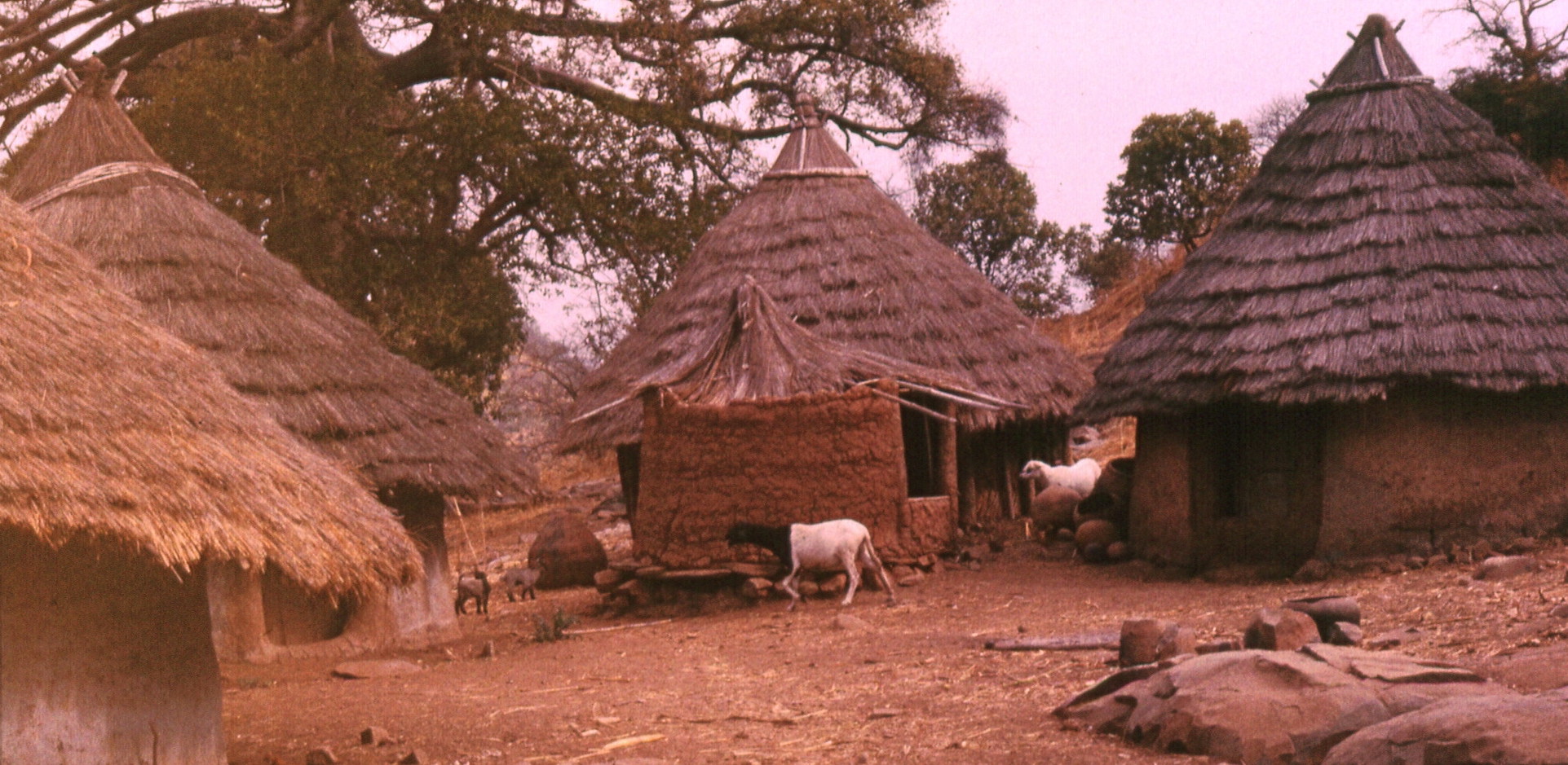 Third World Living: Austerity Lessons, by T.S.. Off-grid power.