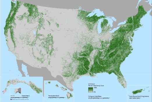 Today's graphic: United States Tree Canopy - 2016.