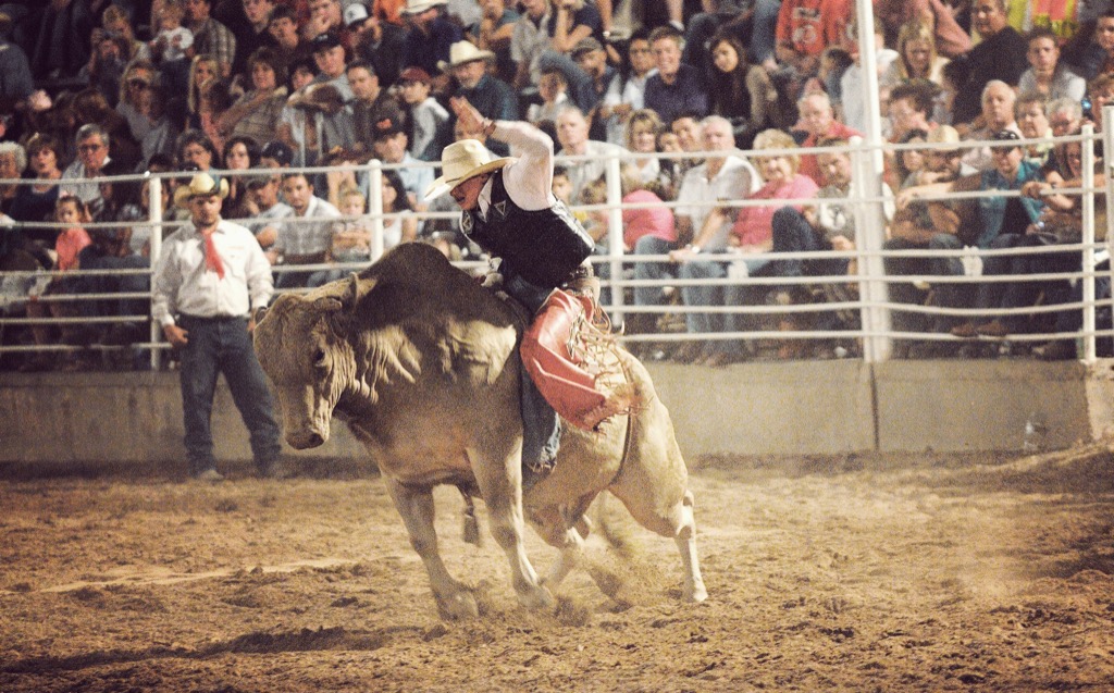 Today, news of a wayward bull at a central Oregon rodeo.