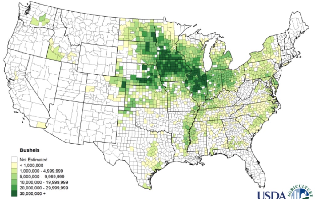 Today's graphic shows corn (maize) production in the United States.
