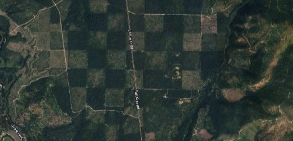 Today, a look at the issue of "Corner Crossings." Matt Shea Exonerated.