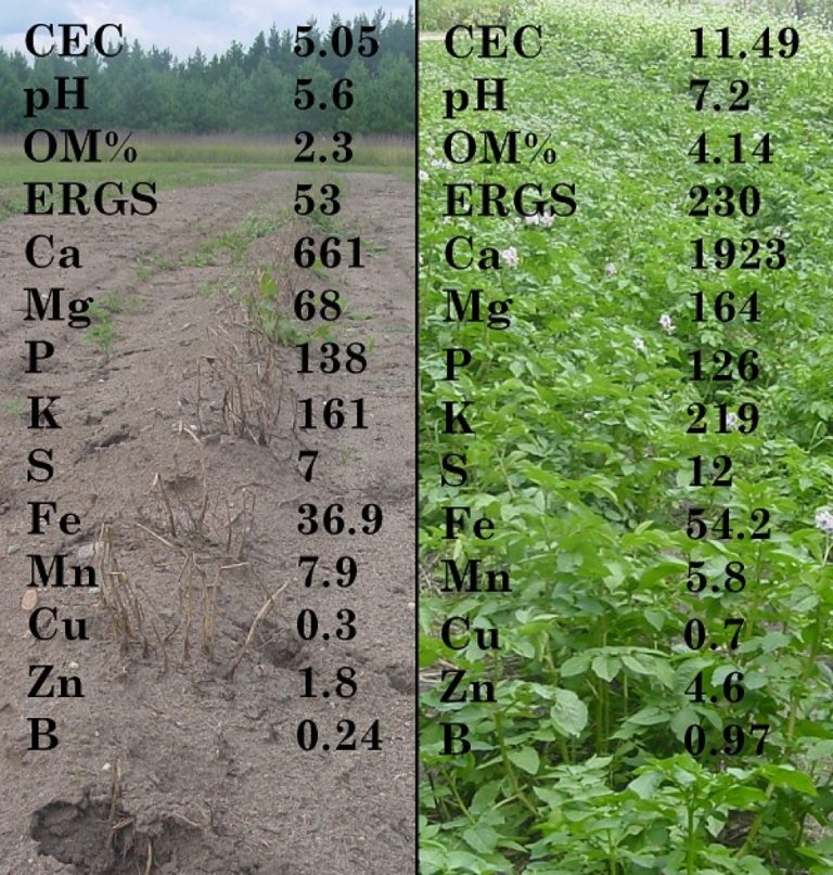 Soil Chemistry Basics, by D.N.G.. the Albrecht system of soil testing.