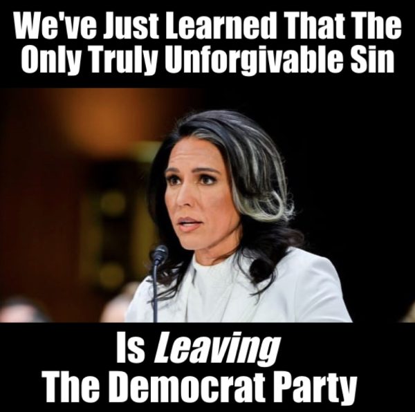 Tulsi Gabbard Meme: We've Just Learned That The Only Truly Unforgivable ...
