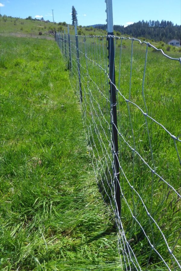 Field Fencing: Subdividing the Pasture, by Patrice Lewis.