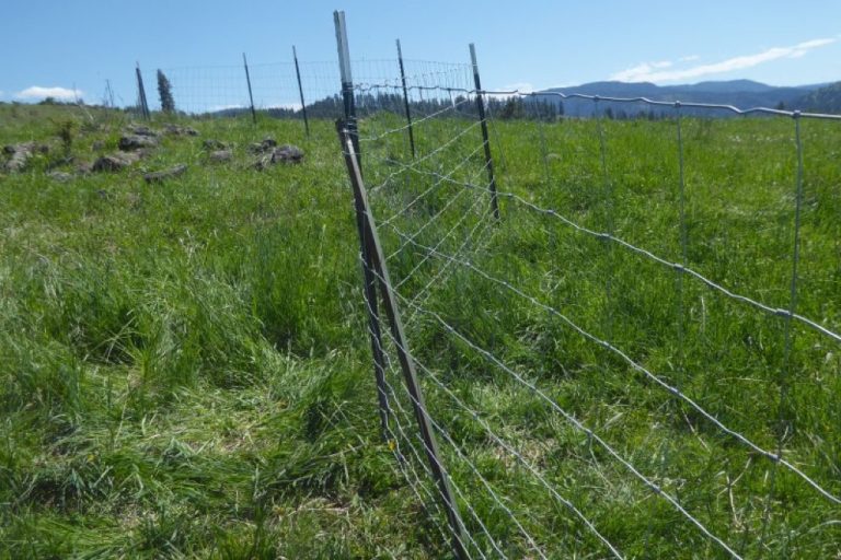 Field Fencing: Subdividing the Pasture, by Patrice Lewis.