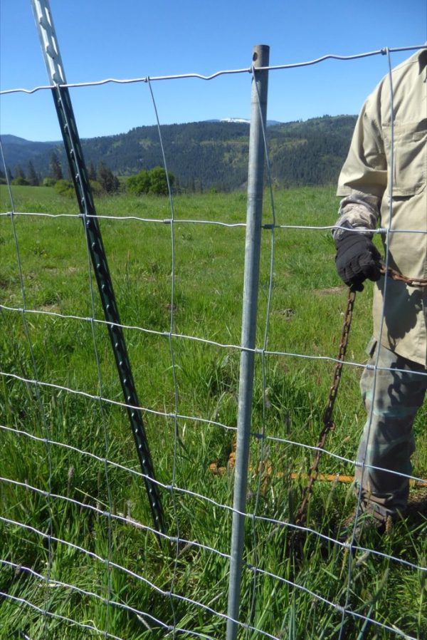 Field Fencing: Subdividing the Pasture, by Patrice Lewis.