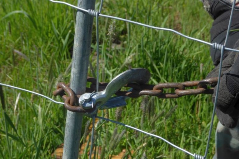 Field Fencing: Subdividing the Pasture, by Patrice Lewis.