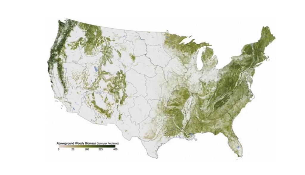 Today's graphic: Forest cover density across the continental U.S..