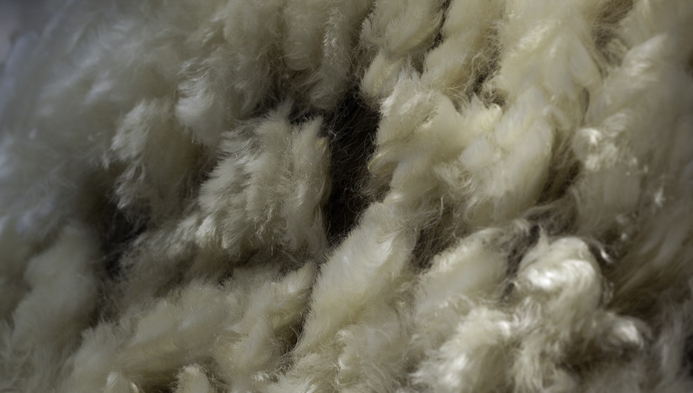 Processing my sheep's wool fleeces.
