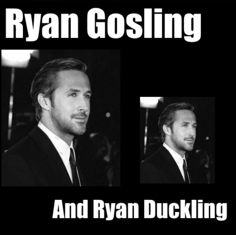Meme: Ryan Gosling, Ryan Duckling. Do you have a meme idea? Just e-mail ...